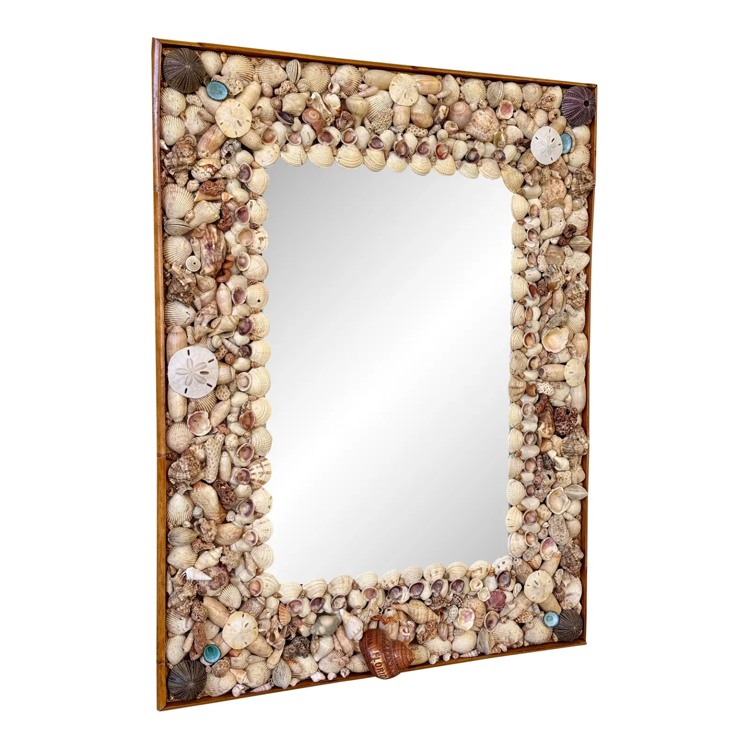 1970’s Custom Organic Coastal Seashell Mirror With Refinished Rattan ...