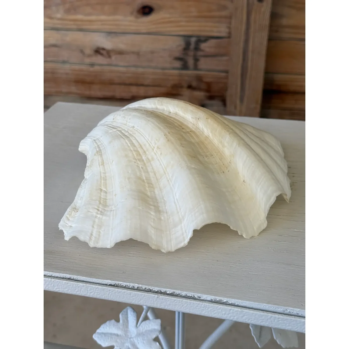 Organic Modern Coastal Clam Shell Vessel | Brittany's Bamboo Barn