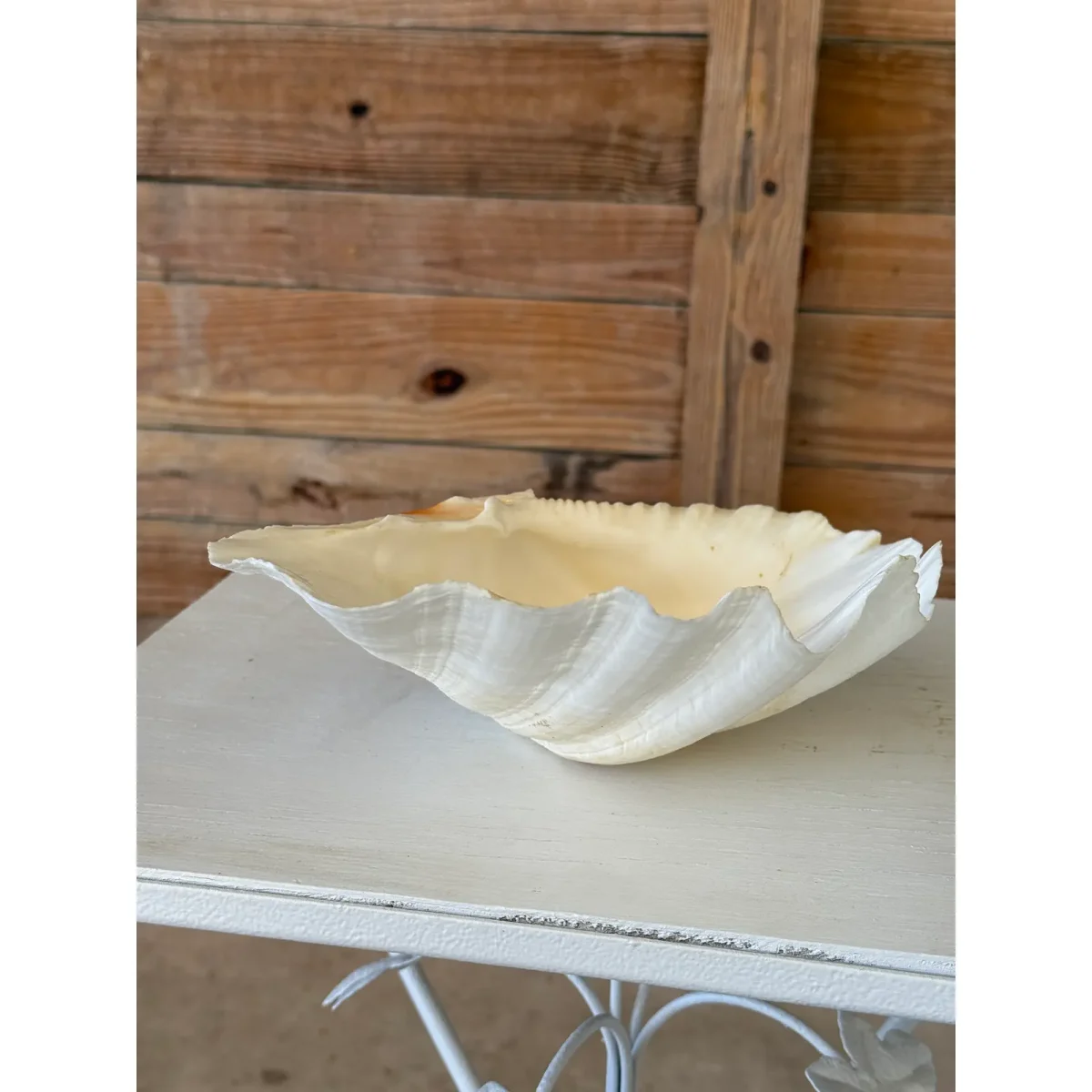 Organic Modern Coastal Clam Shell Vessel | Brittany's Bamboo Barn