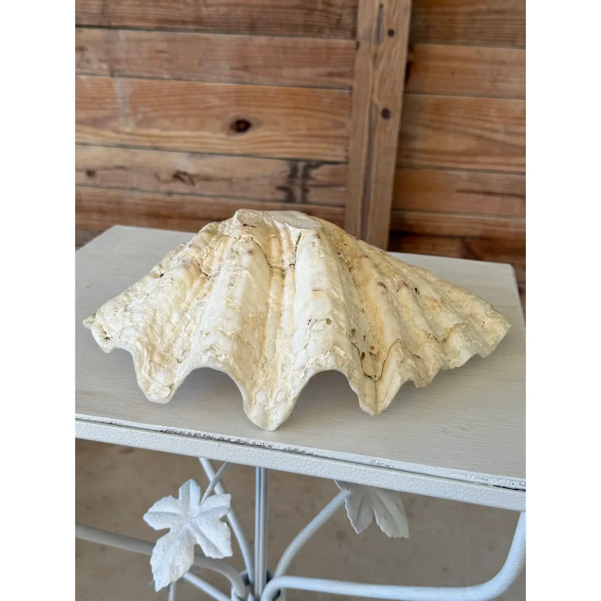 Organic Modern Coastal Clam Shell Vessel | Brittany's Bamboo Barn